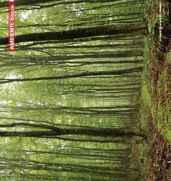 Ambienti naturali | Giunti Scuola
