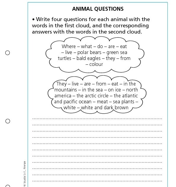 Animal questions | Giunti Scuola