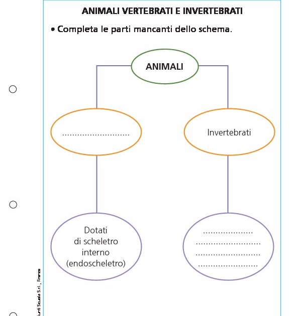 Vertebrati E Invertebrati