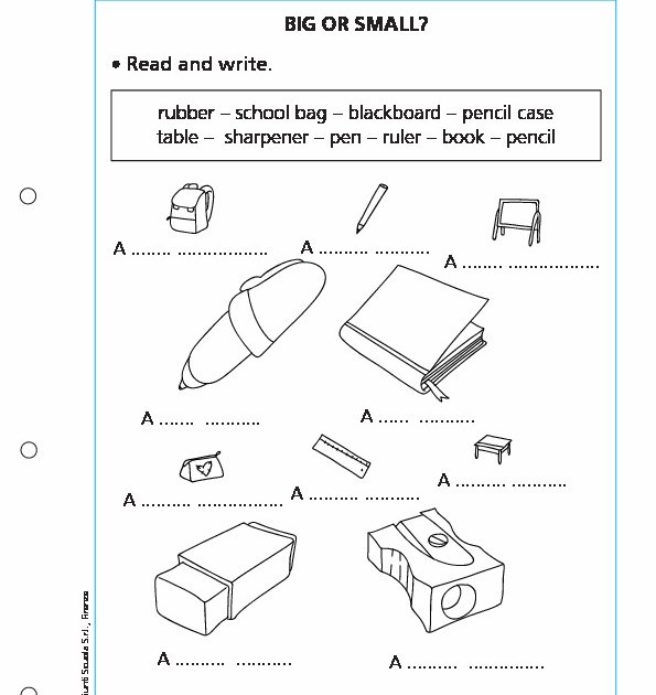 Big or small? | Giunti Scuola