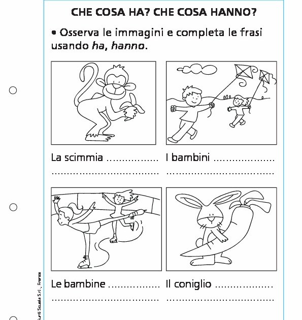Che cosa ha? Che cosa hanno? | Giunti Scuola