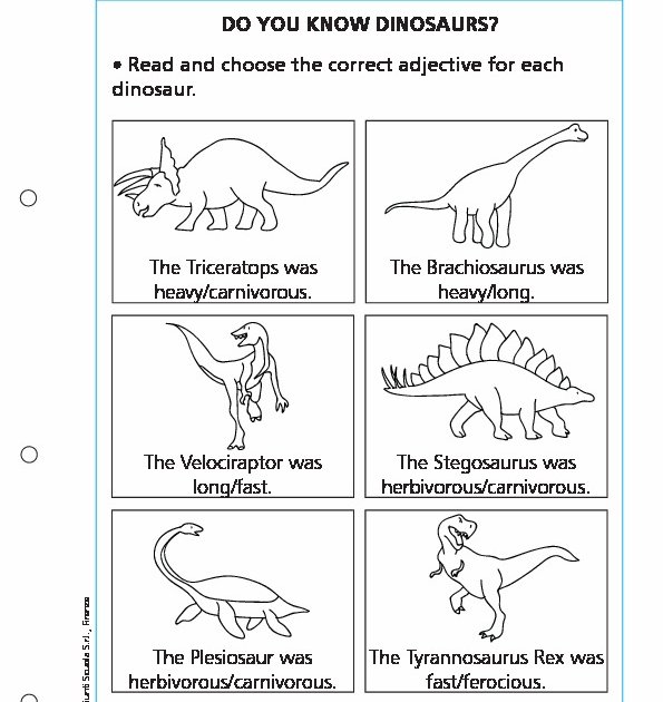 Do you know dinosaurs? | Giunti Scuola