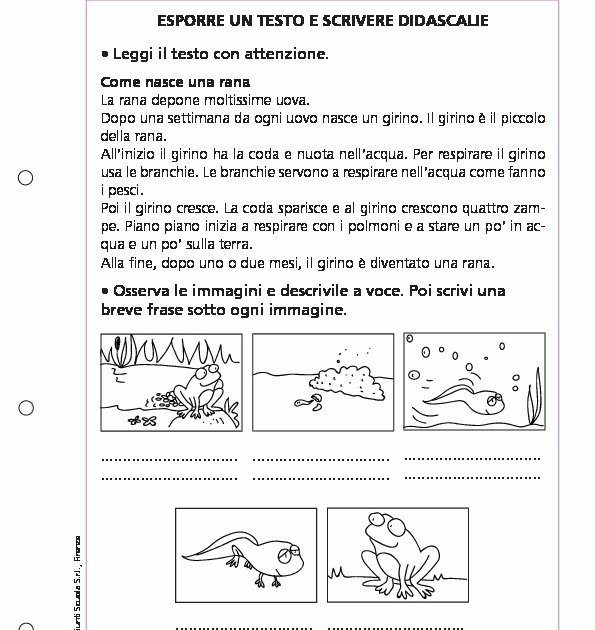 Esporre un testo e scrivere didascalie | Giunti Scuola