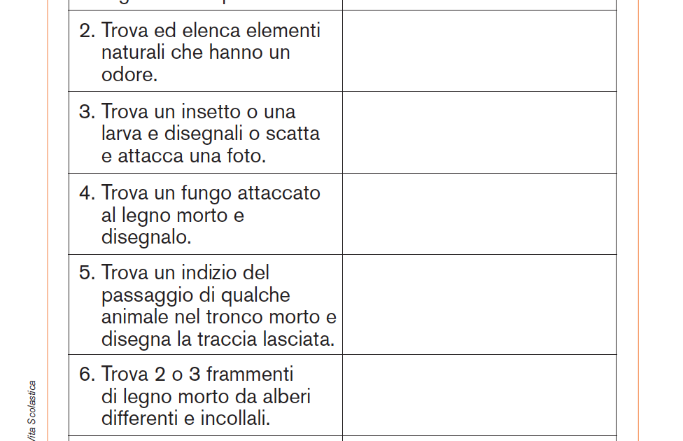 Alla ricerca di indizi nel legno morto | Giunti Scuola