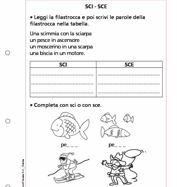 SCI-SCE - SCI-SCE | Giunti Scuola