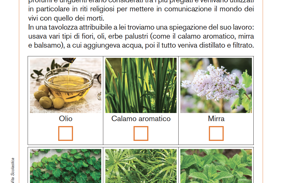 Tapputi-Belatekallim e i suoi profumi | Giunti Scuola