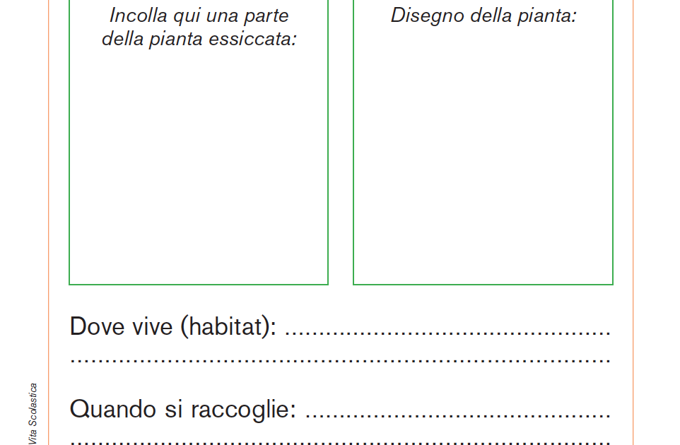 Erbario di piante aromatiche | Giunti Scuola