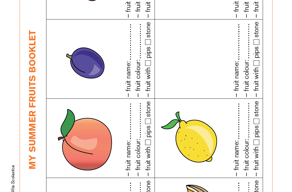 My Summer fruits booklet | Giunti Scuola