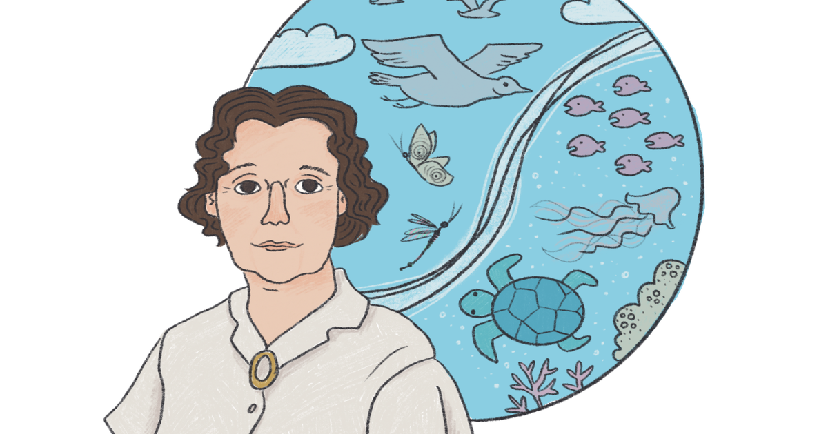 Conosciamo Rachel Carson | Giunti Scuola
