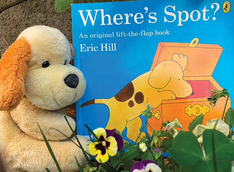 Let’s play with Spot… | Giunti Scuola