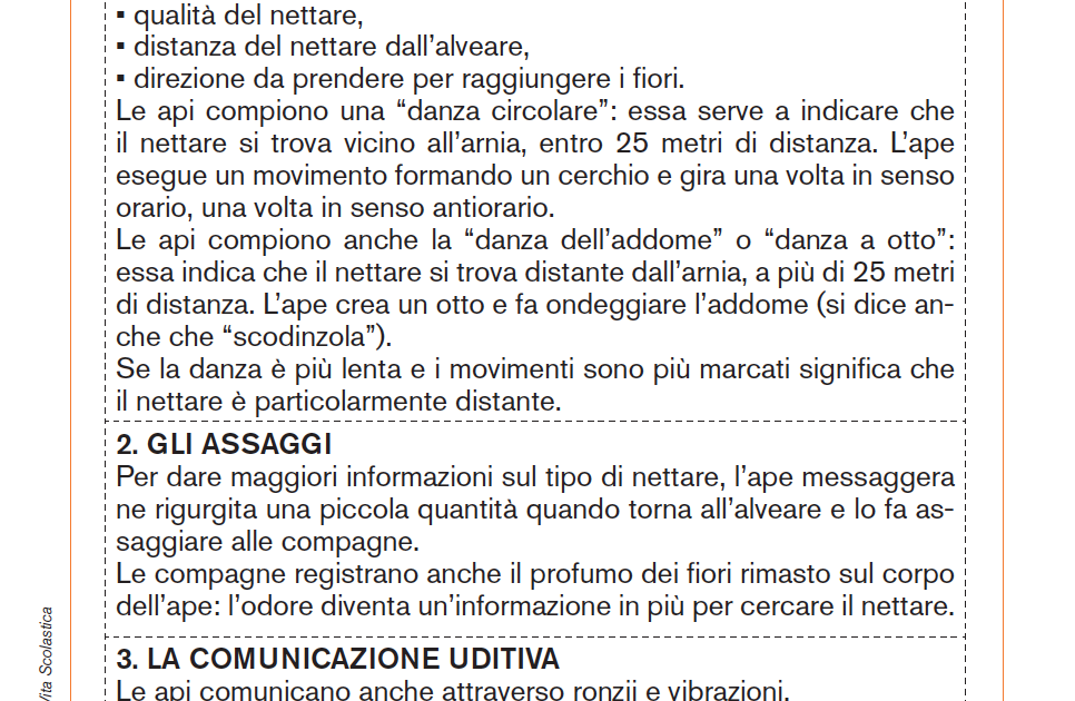 Come comunicano le api | Giunti Scuola