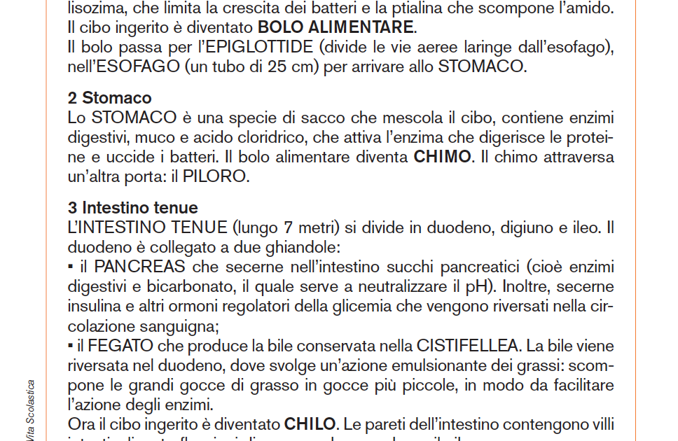 Il viaggio del cibo | Giunti Scuola