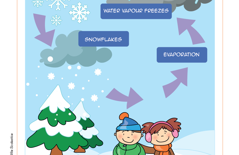 Life cycle of snow | Giunti Scuola