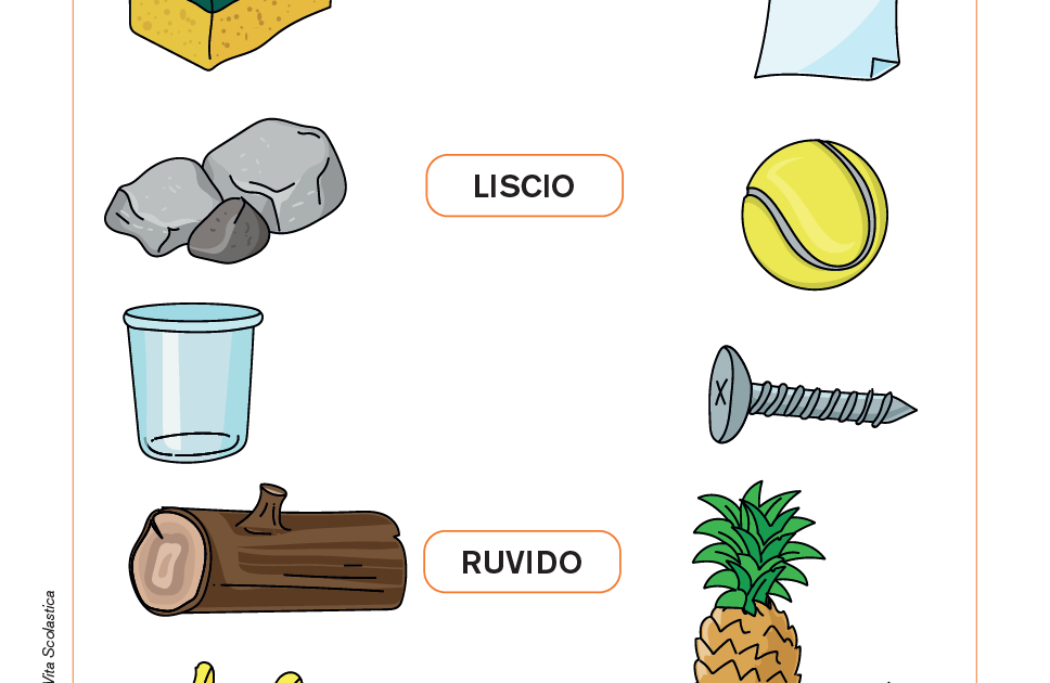 Liscio o ruvido? | Giunti Scuola