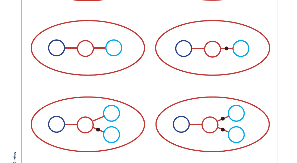 Gli schemi valenziali | Giunti Scuola