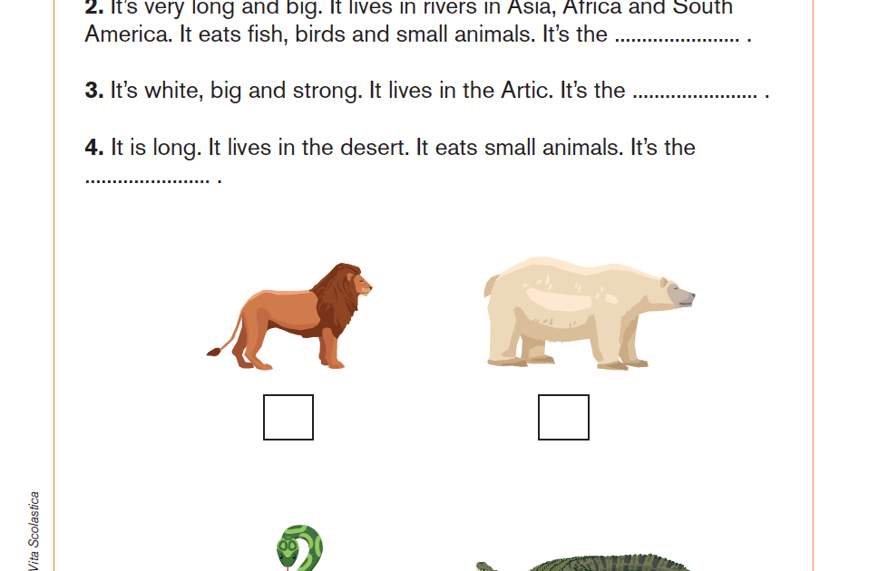 Animals | Giunti Scuola