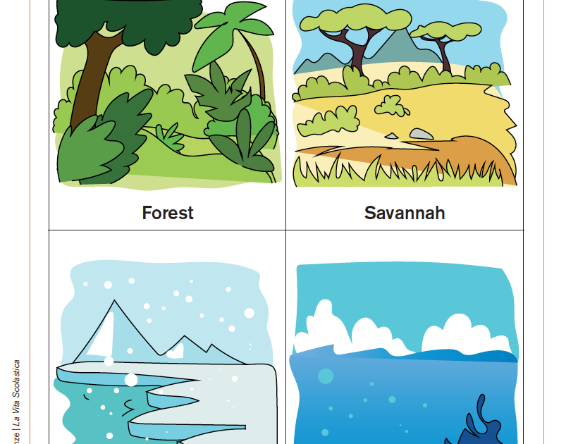 Flashcards: Habitats | Giunti Scuola