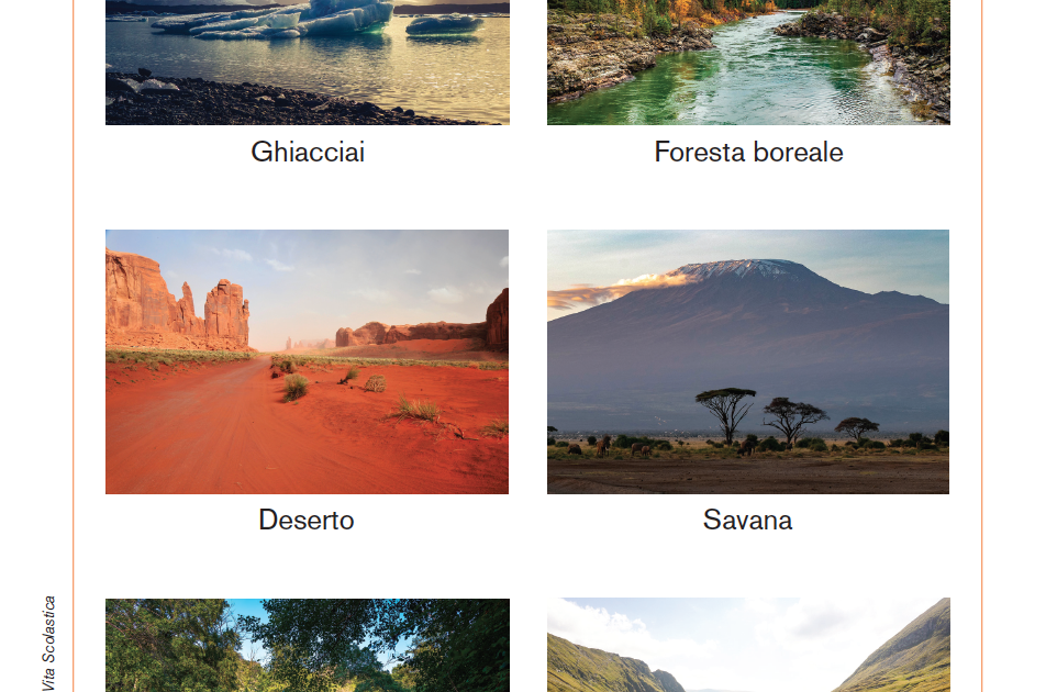 Biomi del mondo | Giunti Scuola