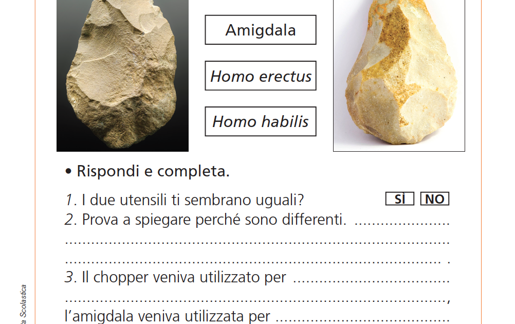 Le pietre dei primi ominidi | Giunti Scuola