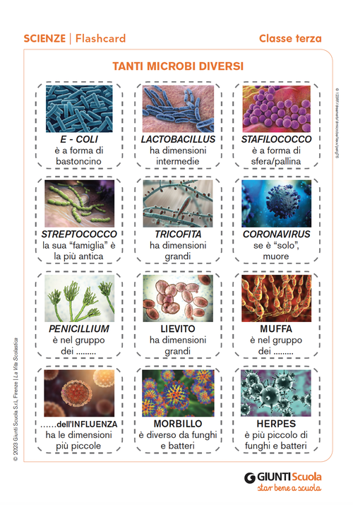 Tanti microbi diversi | Giunti Scuola