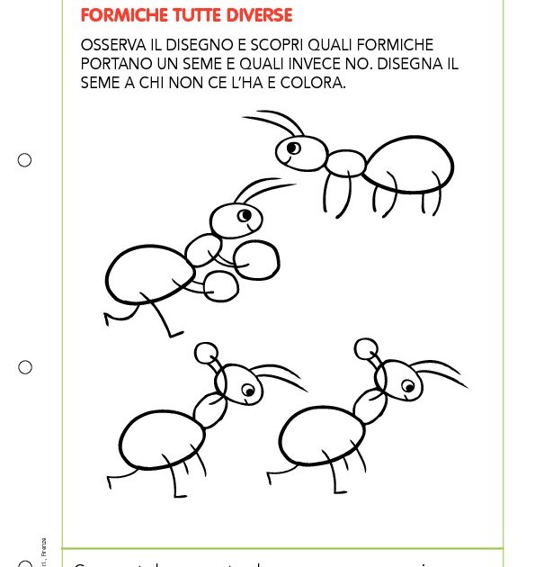 Formiche tutte diverse | Giunti Scuola