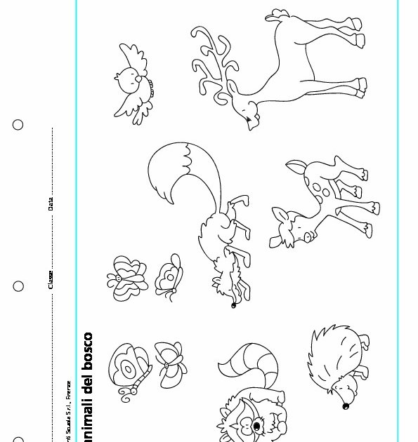 Gli animali del bosco | Giunti Scuola