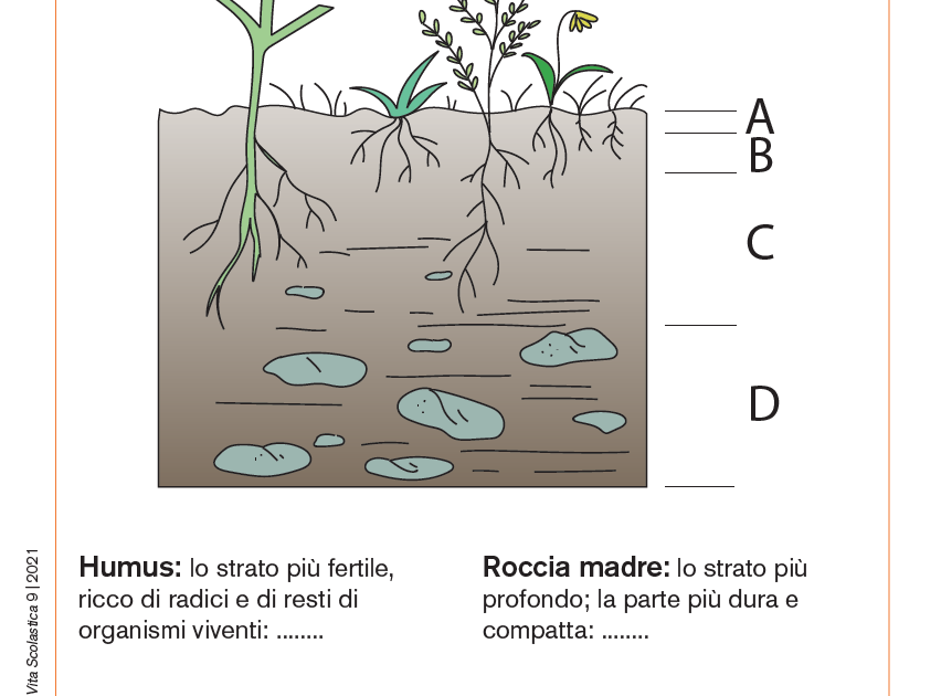 Gli strati del suolo | Giunti Scuola