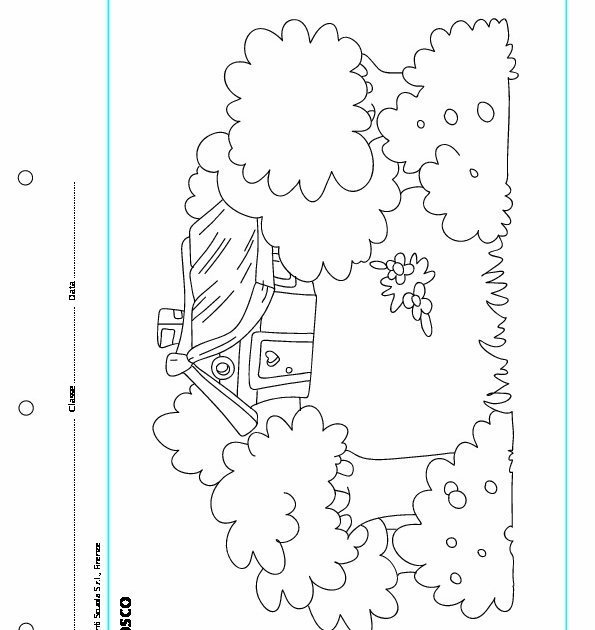 Il bosco | Giunti Scuola