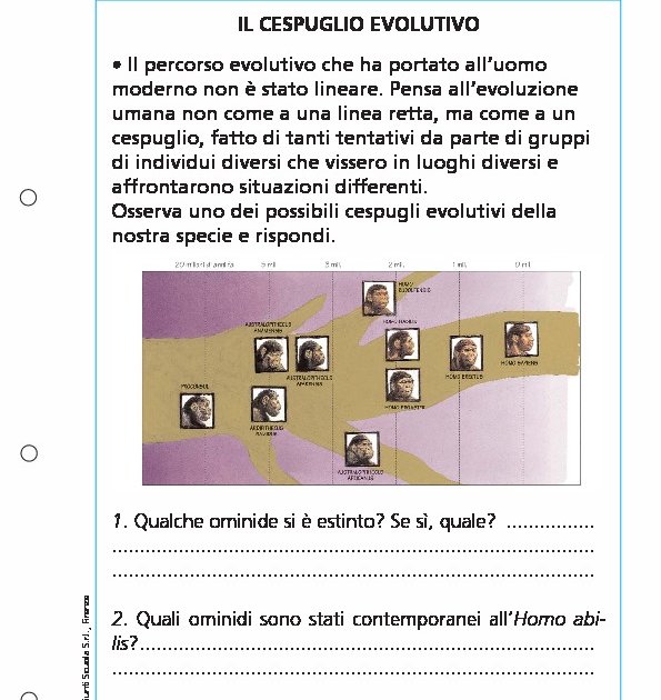 Il cespuglio evolutivo | Giunti Scuola