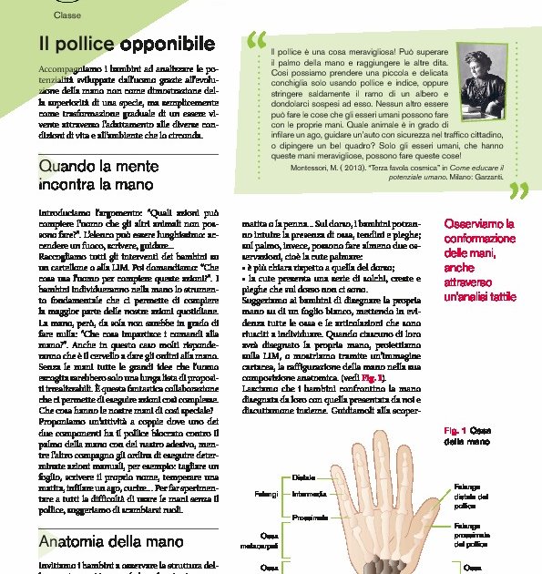 Il pollice opponibile | Giunti Scuola