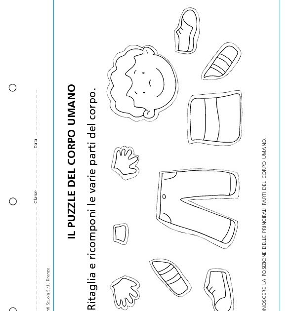 Il puzzle del corpo umano | Giunti Scuola