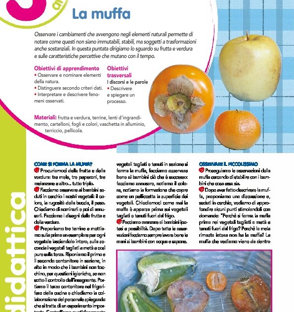 La muffa | Giunti Scuola