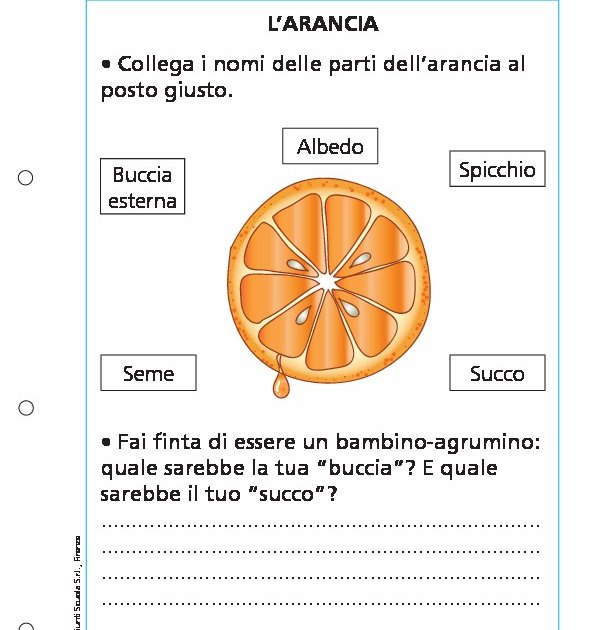 L'arancia | Giunti Scuola