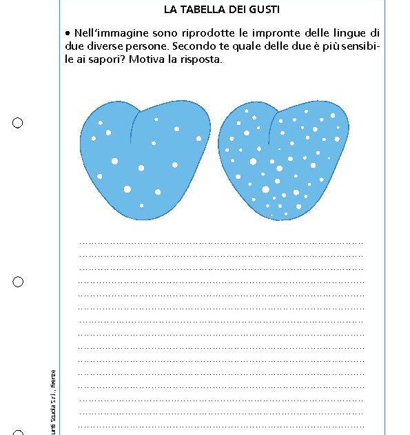Le papille gustative | Giunti Scuola