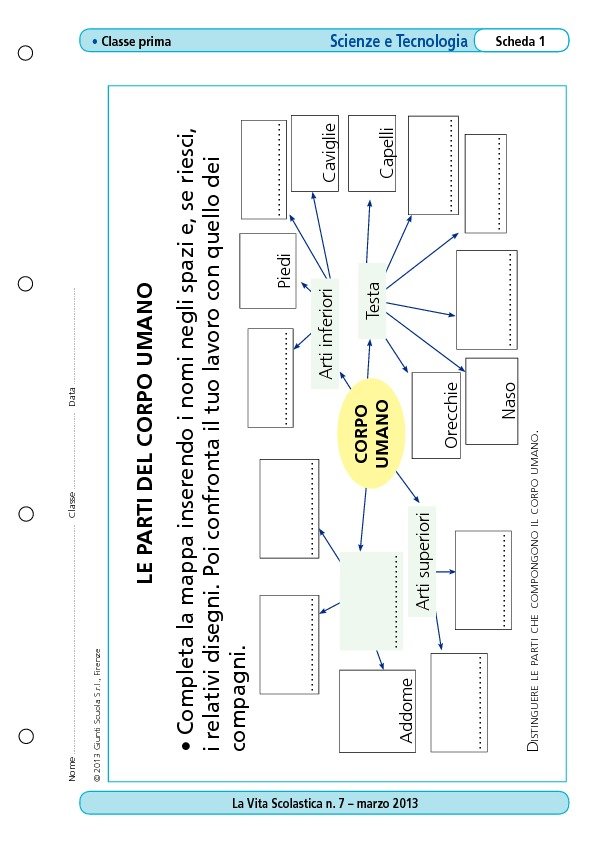Schema Del Corpo Umano Stampabile
