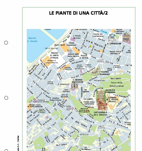 Le piante di una città/2 | Giunti Scuola