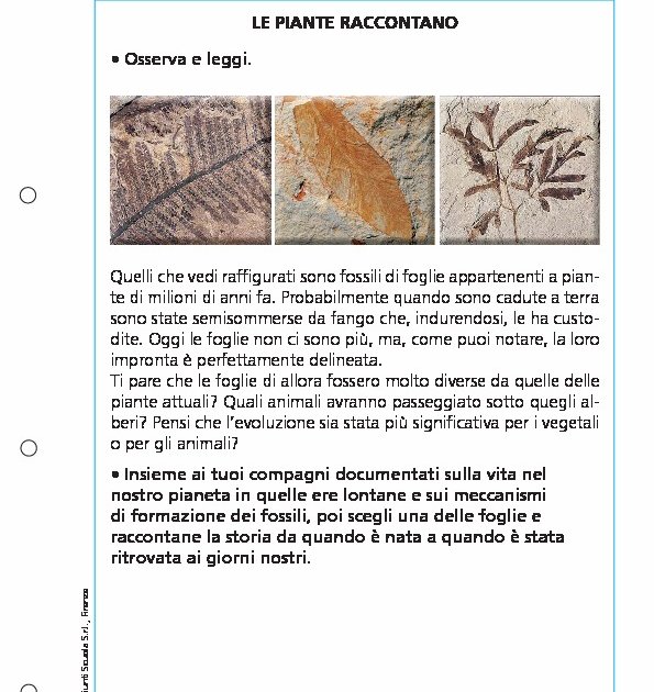 Le piante raccontano | Giunti Scuola