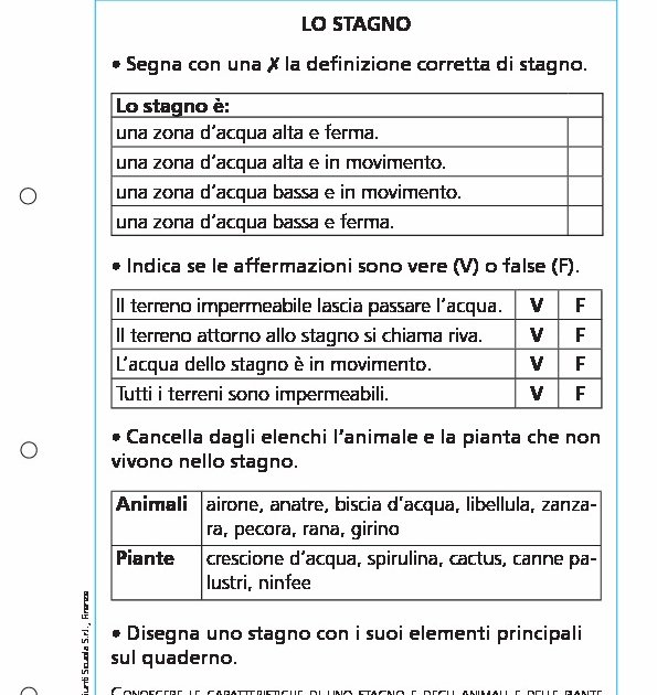 Lo stagno | Giunti Scuola