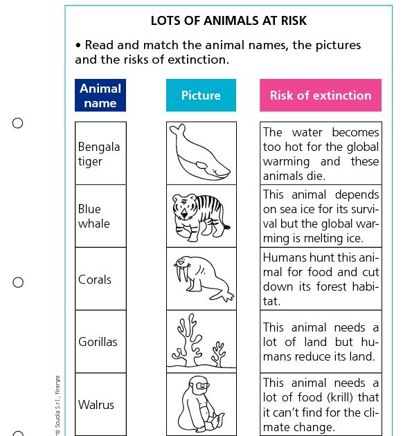Lots of animals at risk | Giunti Scuola