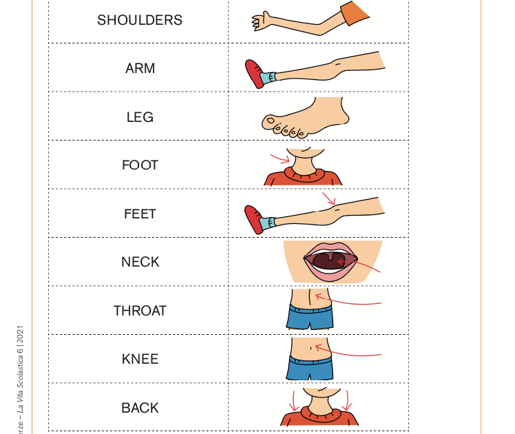Parts of the body matching game | Giunti Scuola