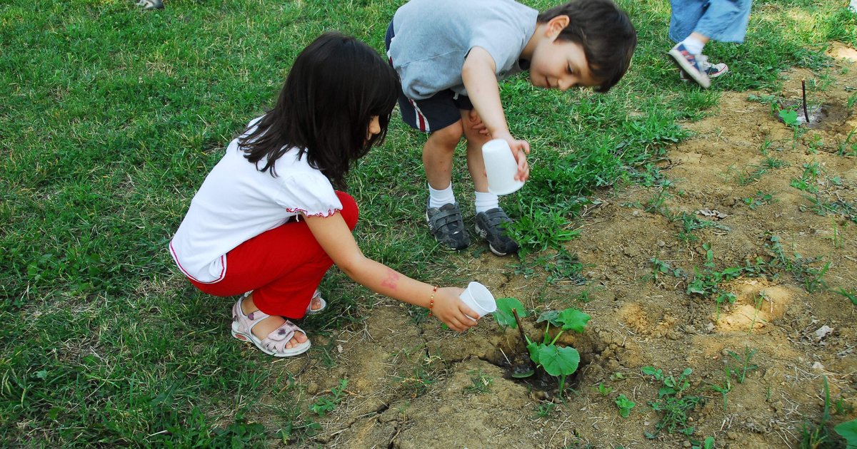 Piccoli semi, grandi potenzialità | Giunti Scuola