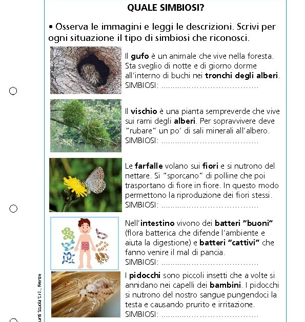 Quale simbiosi? | Giunti Scuola
