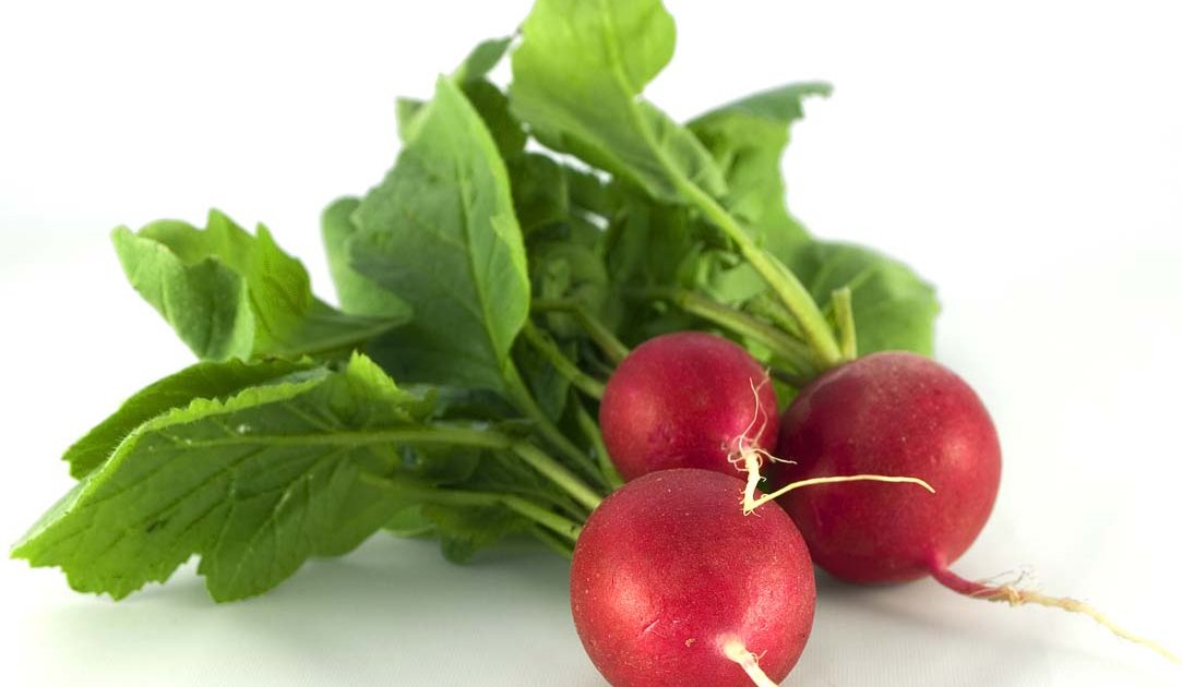 Ravanelli | Giunti Scuola