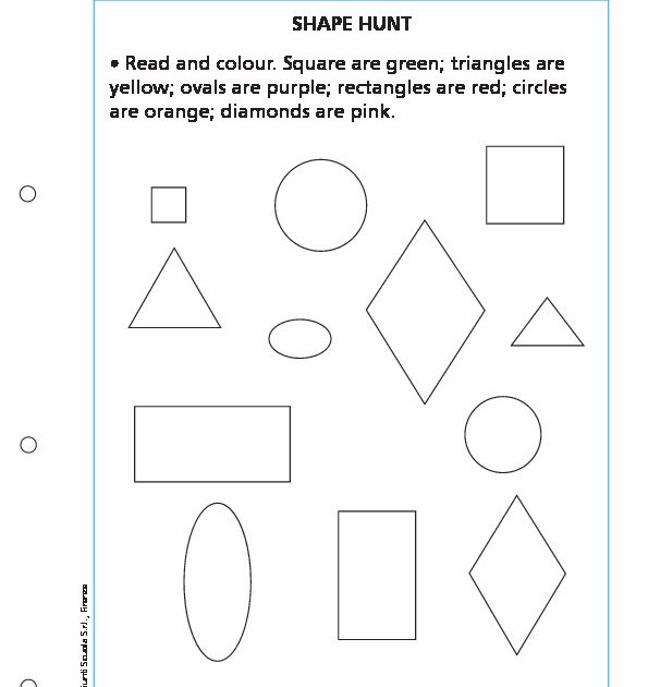 Shape hunt | Giunti Scuola
