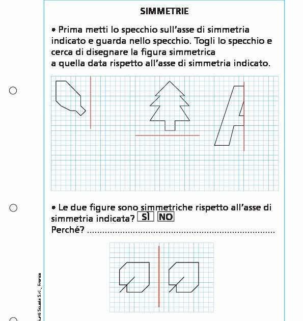 Simmetrie | Giunti Scuola