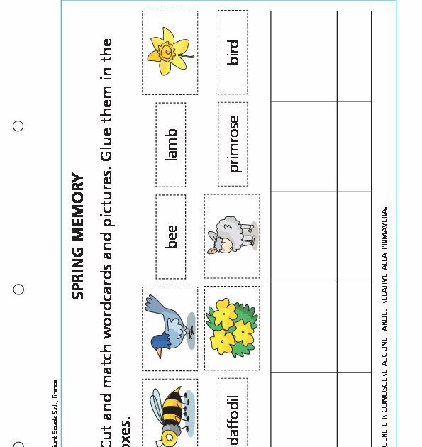 Spring memory | Giunti Scuola