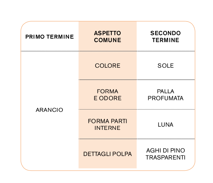 Termini di paragone/B | Giunti Scuola