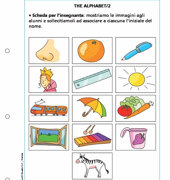 The alphabet/2 | Giunti Scuola