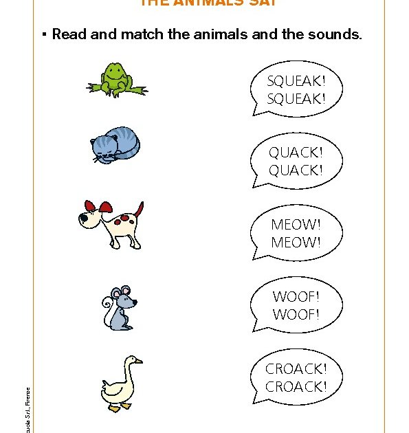 The animals say | Giunti Scuola