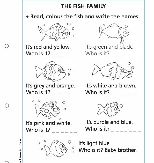 The fish family | Giunti Scuola